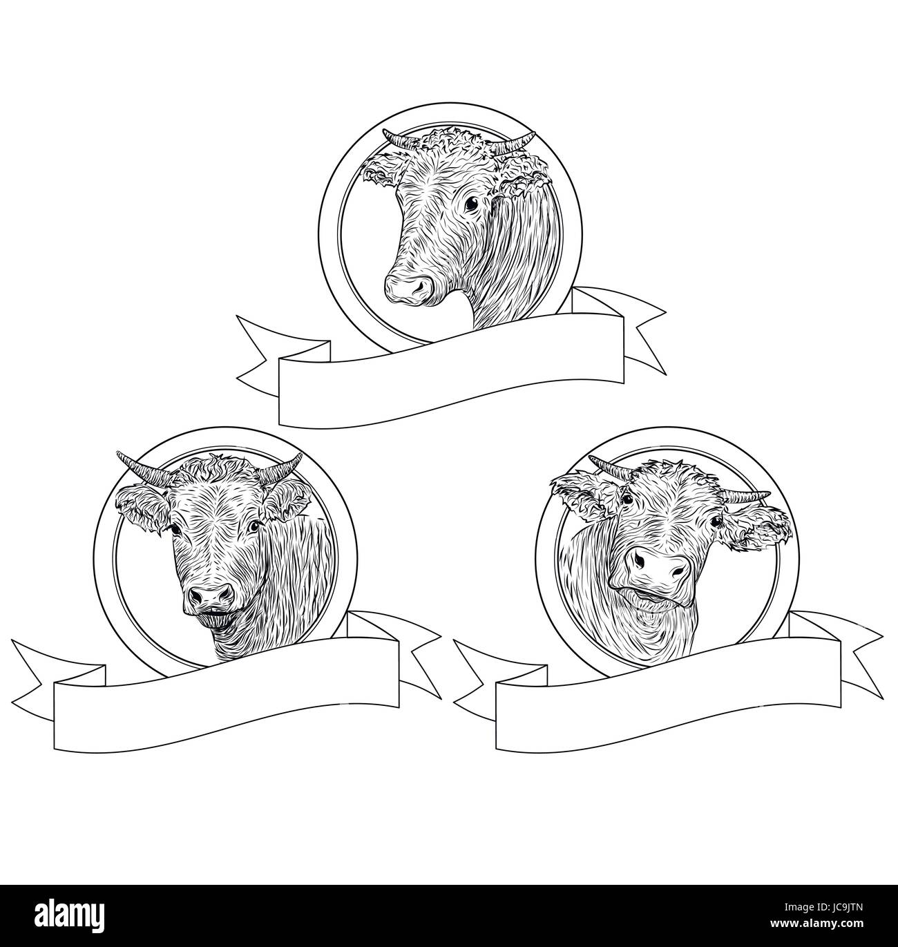 Veau, vache, taureau museau mignon ensemble face variation collection ...