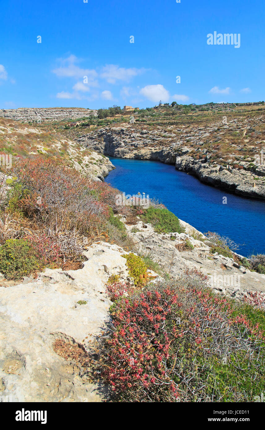 Garrigue vegetation Banque de photographies et d’images à haute ...