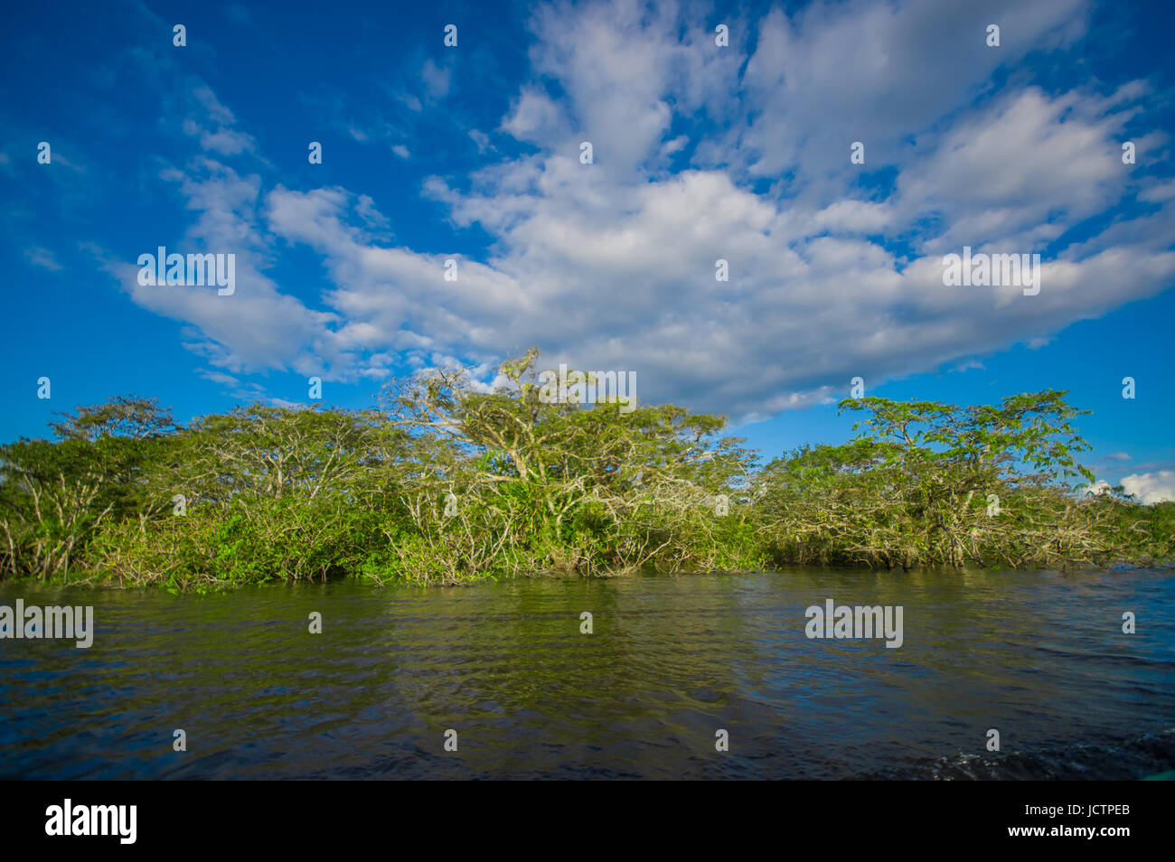 La rivière Cuyabeno, rainforest, terrain de Siona autochtones. Le ...