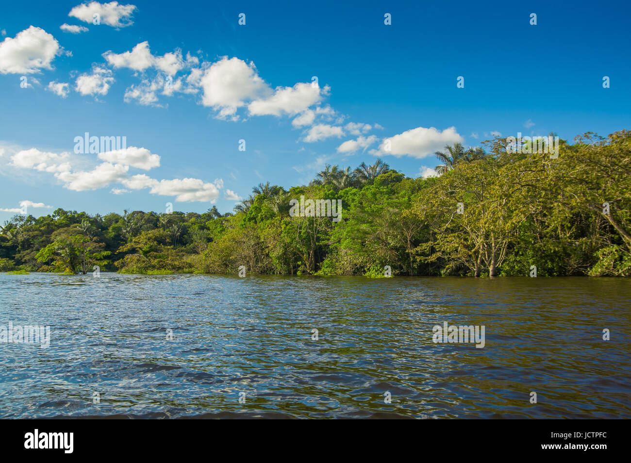 La rivière Cuyabeno, rainforest, terrain de Siona autochtones. Le ...