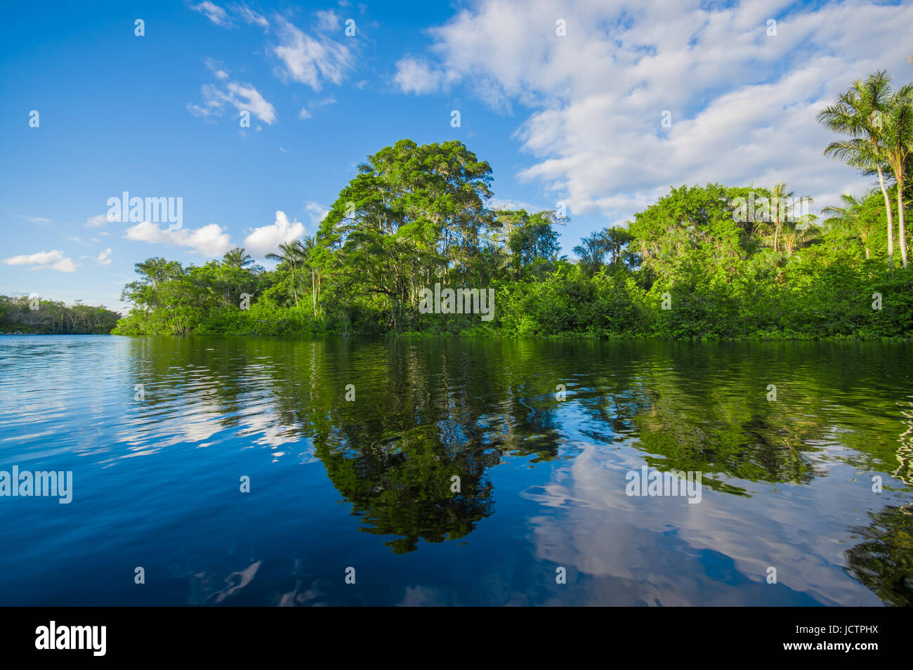 La rivière Cuyabeno, rainforest, terrain de Siona autochtones. Le ...