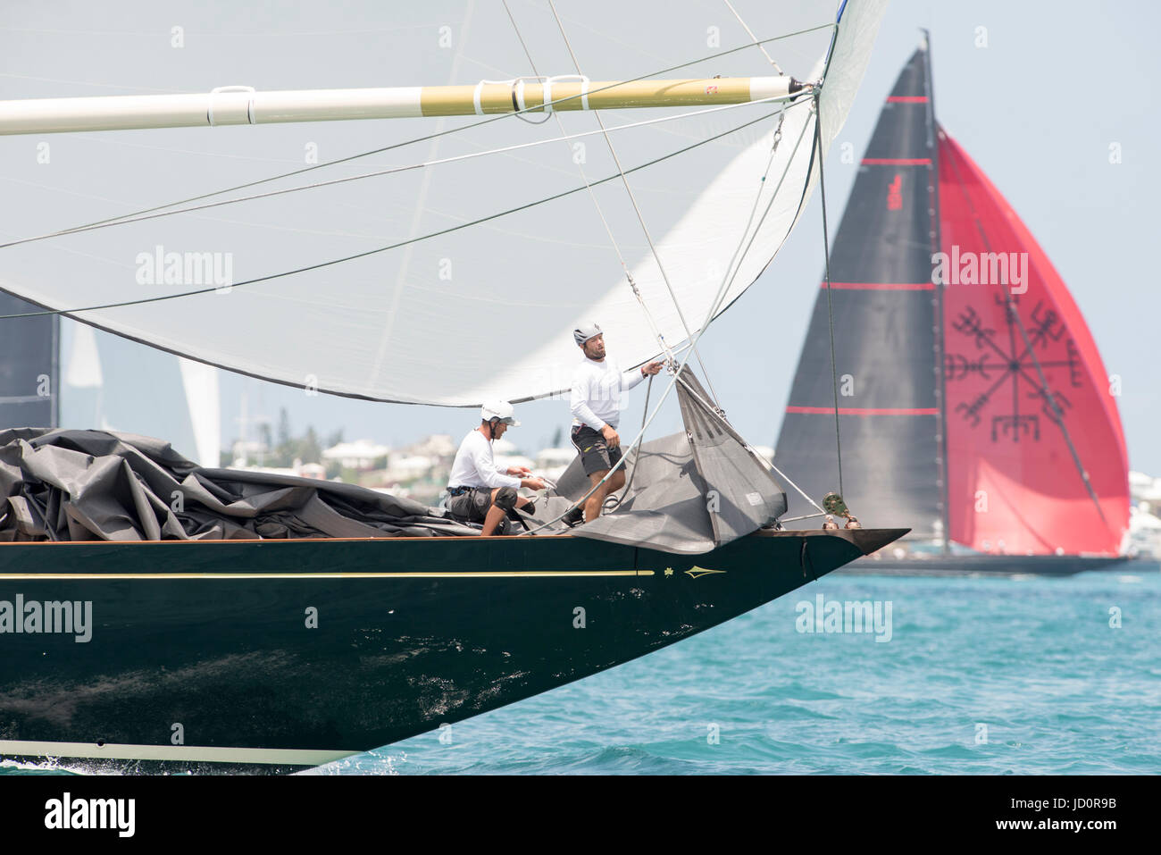 Shamrock v Banque de photographies et d’images à haute résolution - Alamy