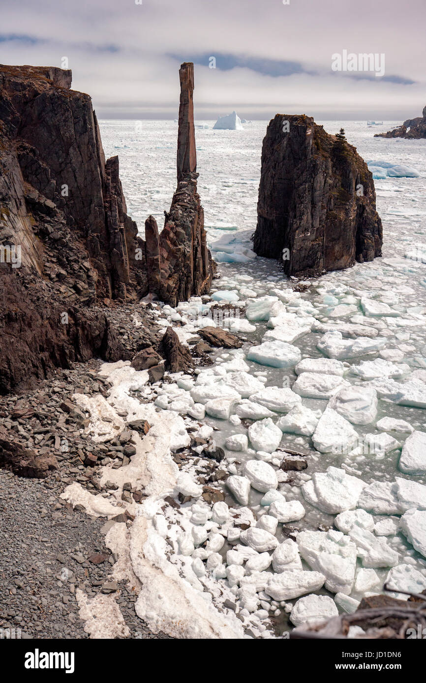 Côte sauvage, la mer, les piles et la glace de mer à Spillars Cove ...