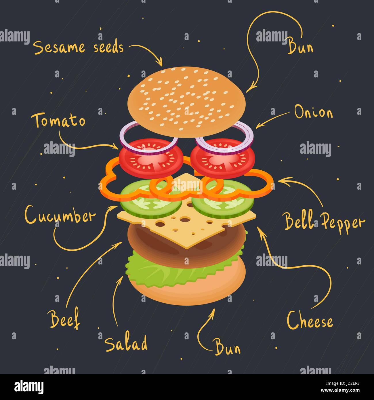 Vector illustration de burger l'infographie. Ingrédients Cheeseburger ...