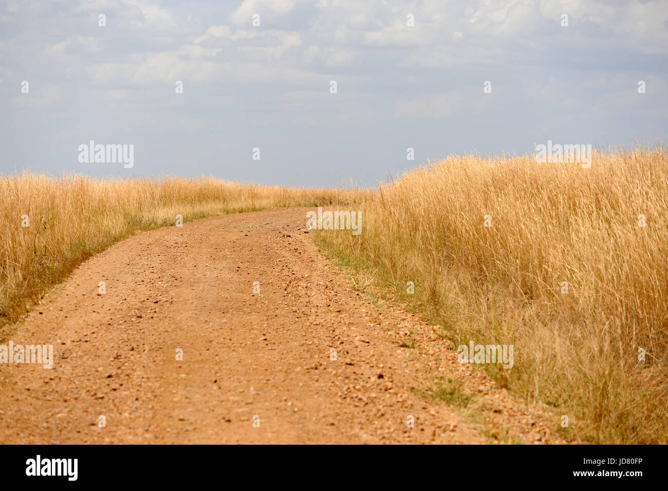Paysage de savane dans le parc national du Kenya, Afrique Photo Stock ...