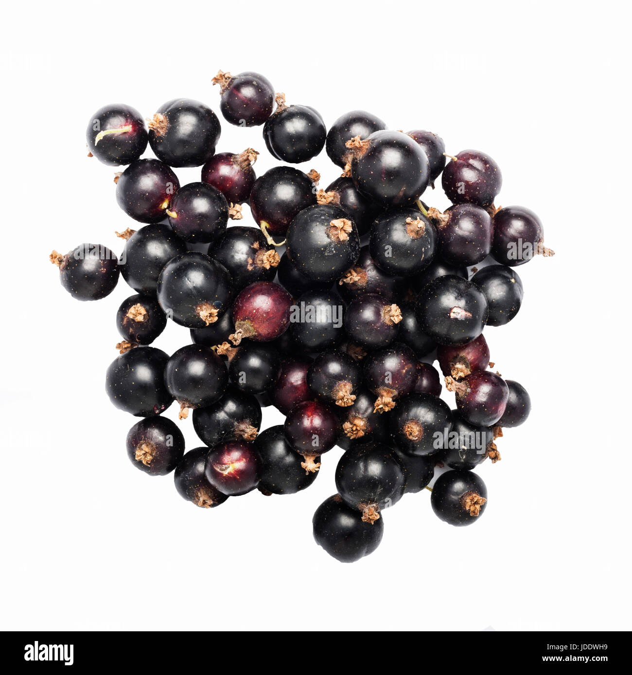 Cassis fruit Banque de photographies et d’images à haute résolution - Alamy