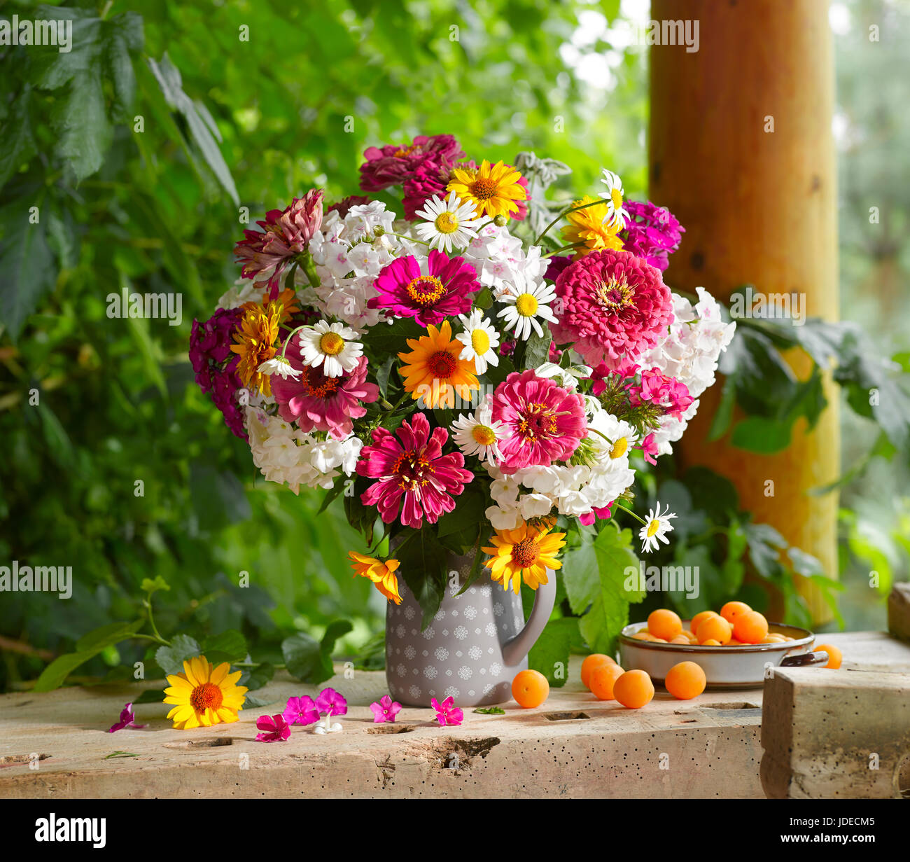 Aster frais Banque de photographies et d’images à haute résolution - Alamy