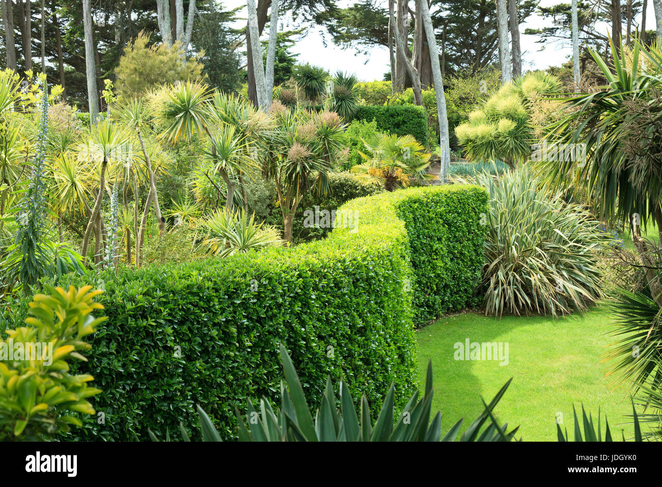 France, Finistère (29), îles du du Ponant, île de Batz, le jardin ...