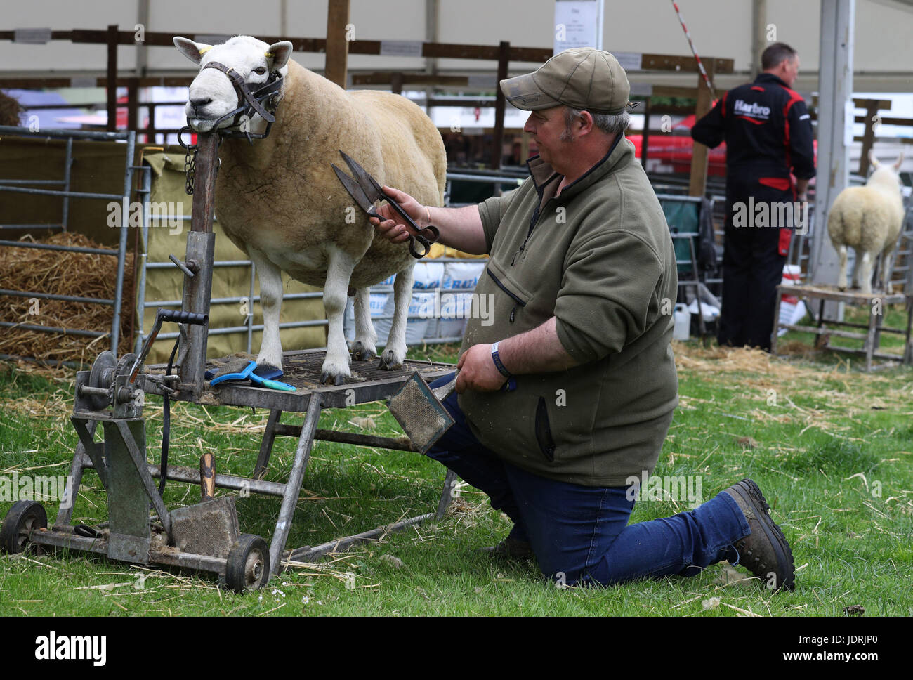 Hugh mackenzie Banque de photographies et d’images à haute résolution ...