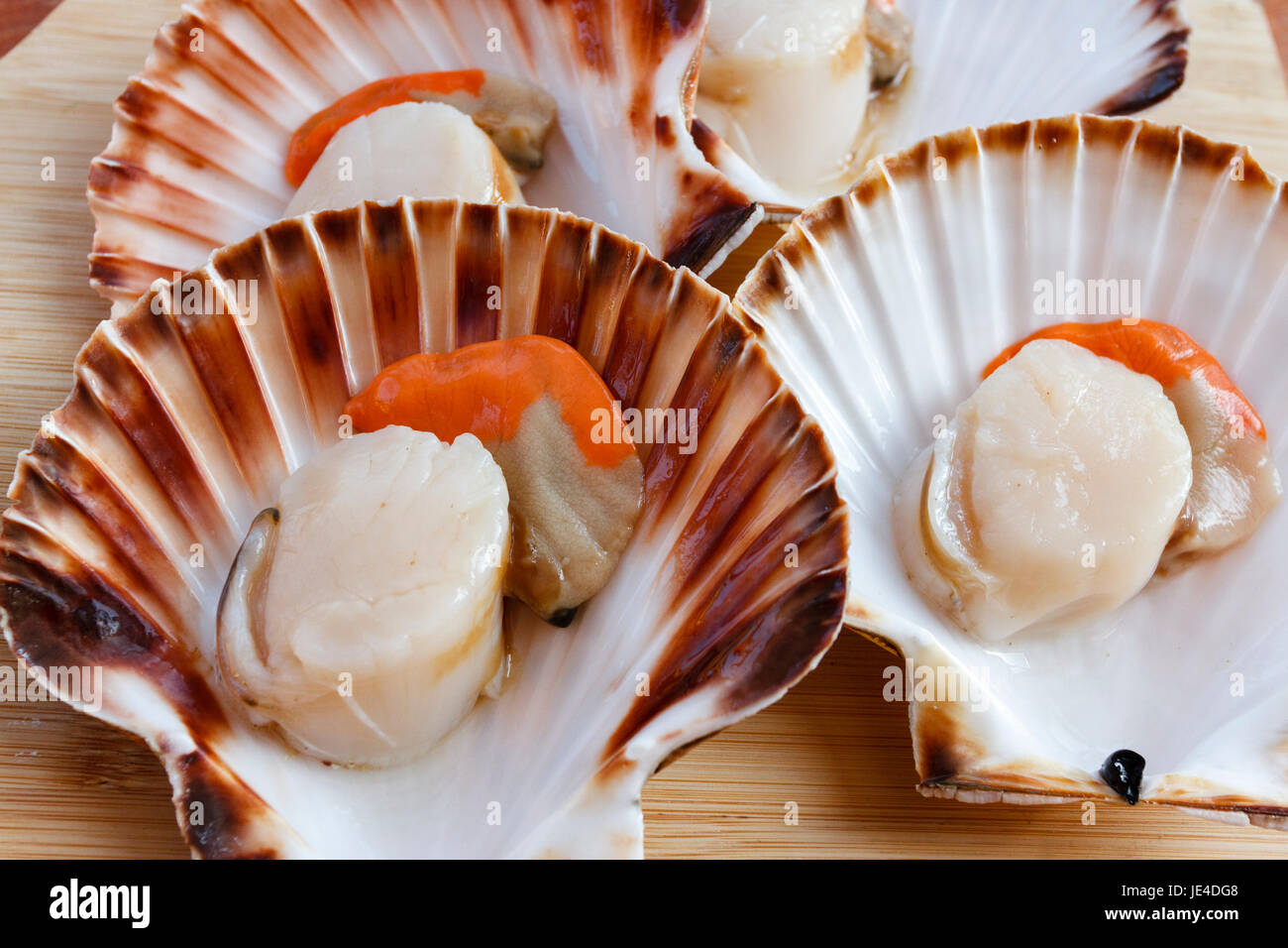 Raw scallop in shell Banque de photographies et d’images à haute ...