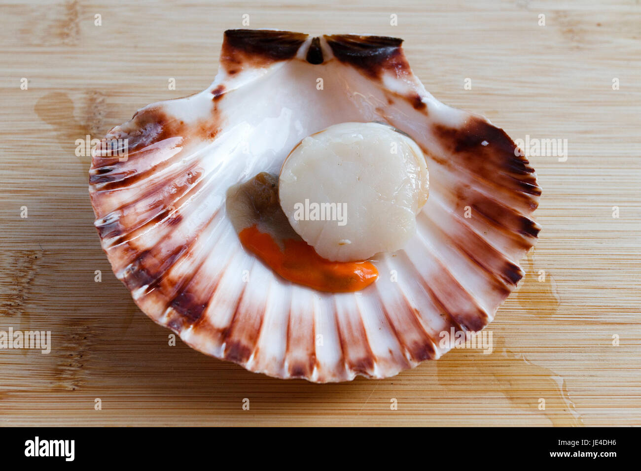 Raw scallop in shell Banque de photographies et d’images à haute ...