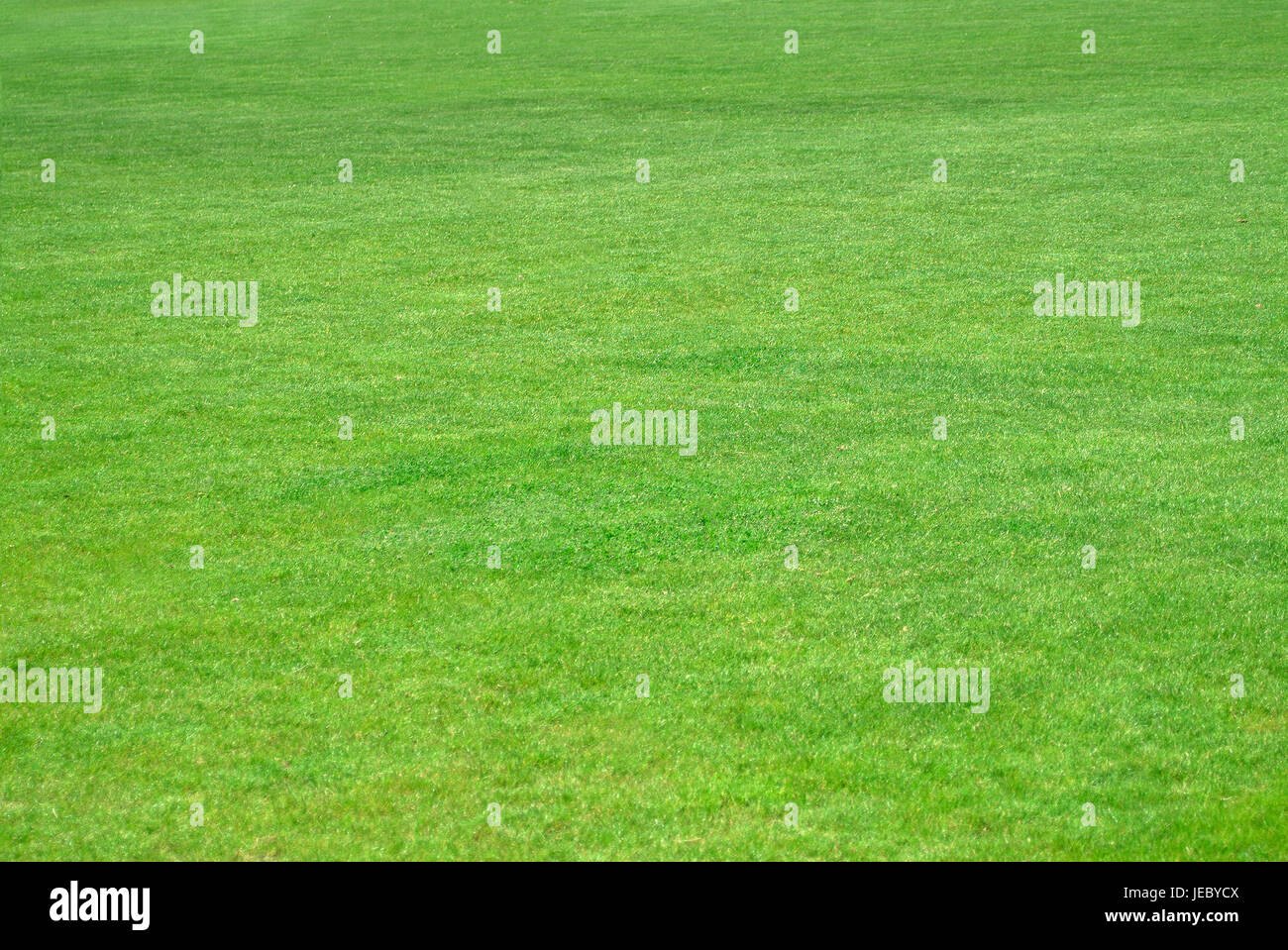 Gazon tondu Banque de photographies et d’images à haute résolution - Alamy