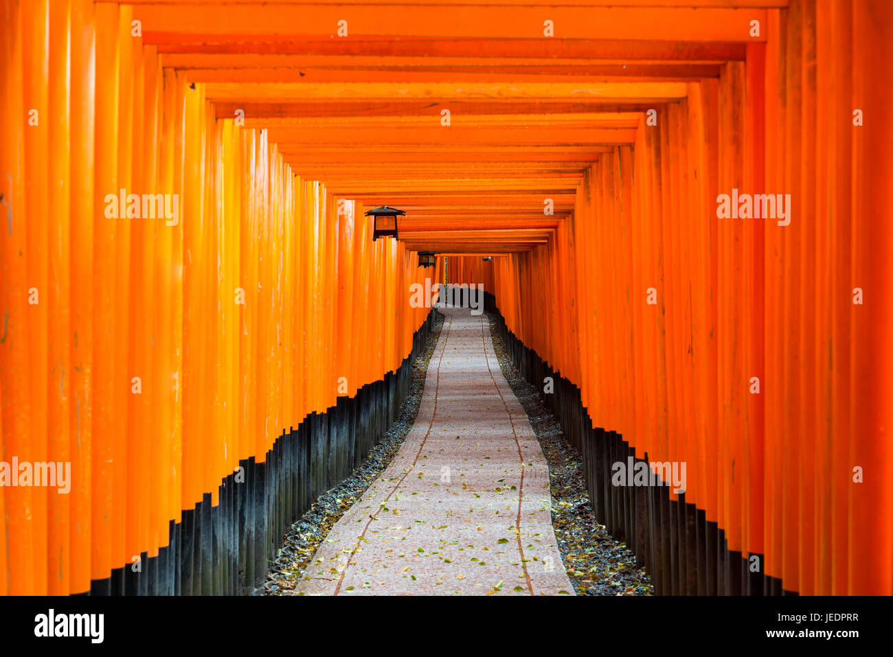 Tori torii porte temple sanctuaire tokyo Banque de photographies et d ...