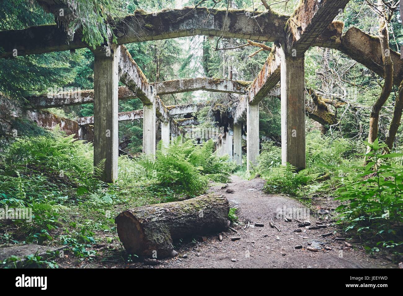 Usine en ruine Banque de photographies et d’images à haute résolution ...