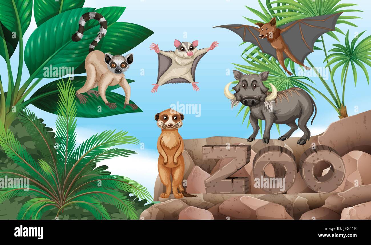 Différents types d'animaux sauvages dans le zoo illustration Image ...