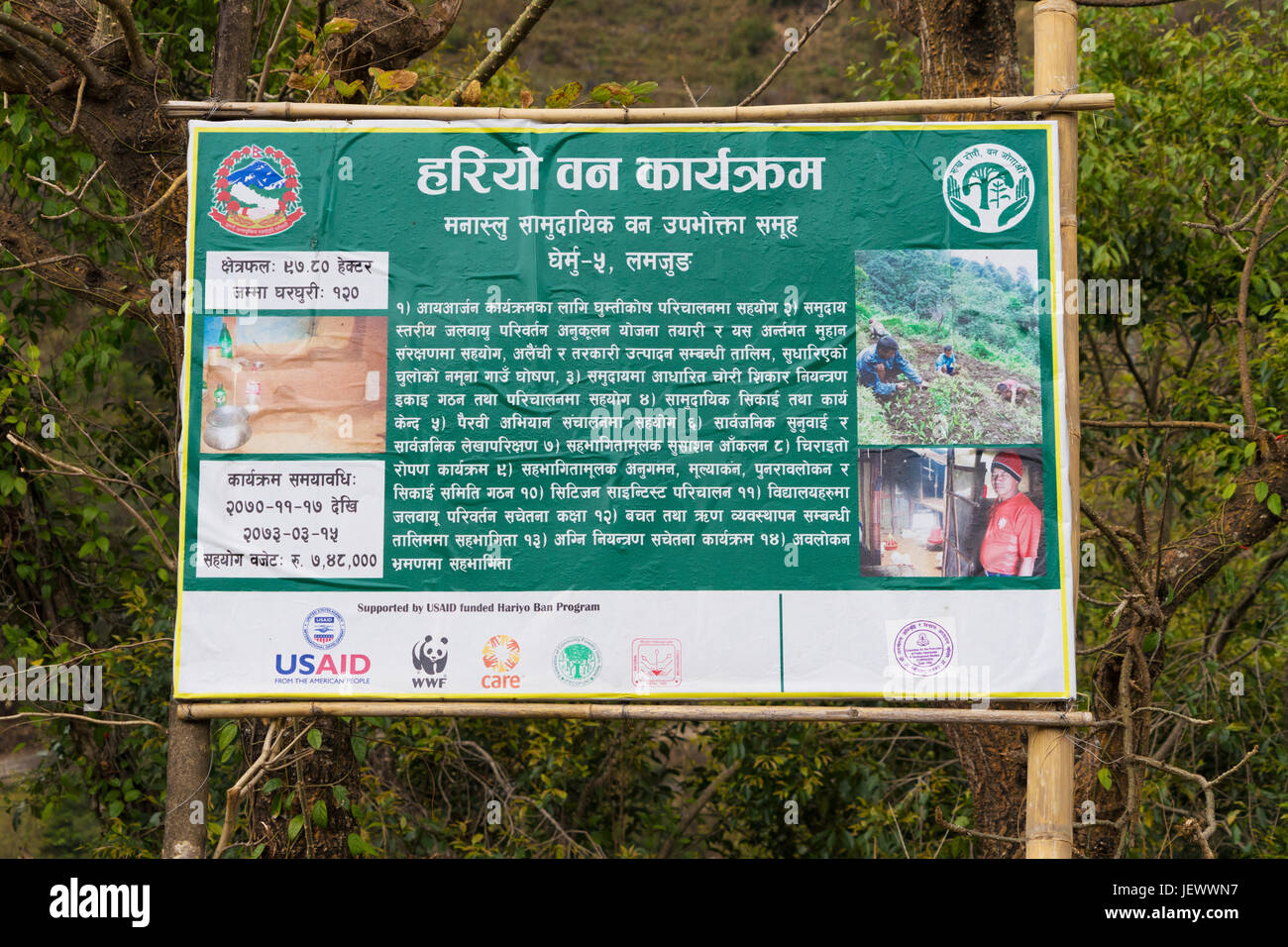 Hariyo ban Banque de photographies et d’images à haute résolution - Alamy