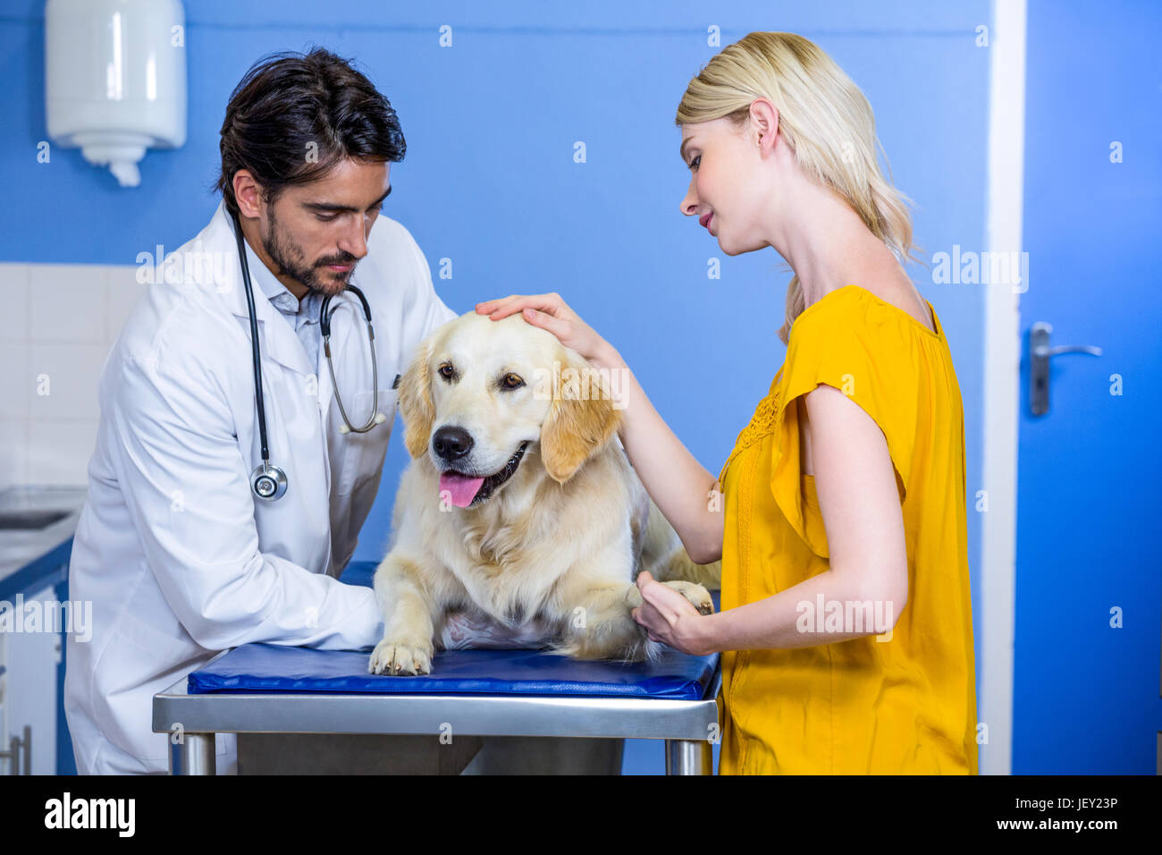 Client avec chien Banque de photographies et d’images à haute ...