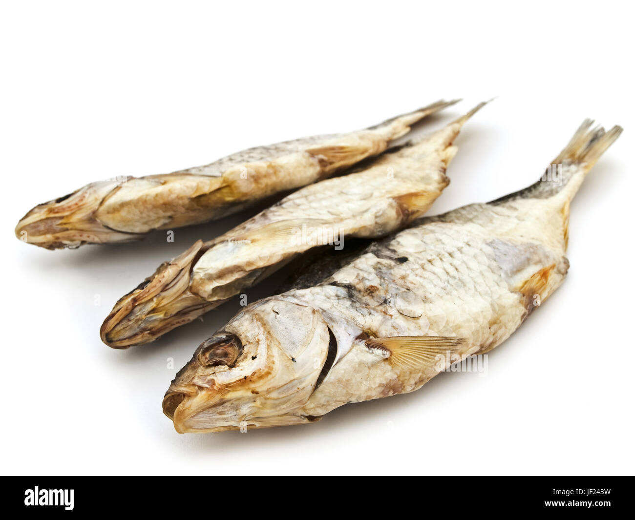 Poisson sec Banque de photographies et d’images à haute résolution - Alamy