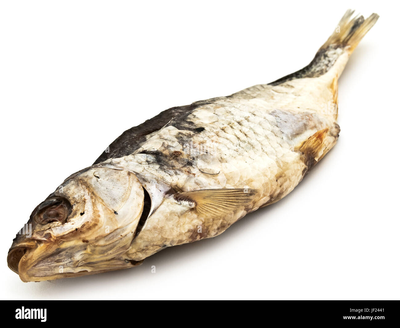 Poisson sec Banque de photographies et d’images à haute résolution - Alamy