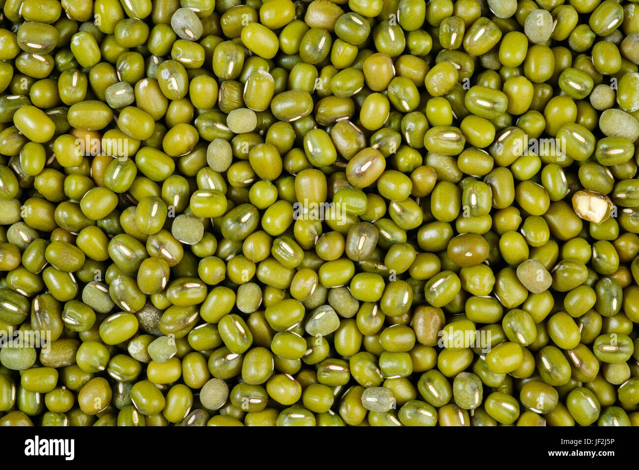 Haricot mungo bio Banque de photographies et d’images à haute ...