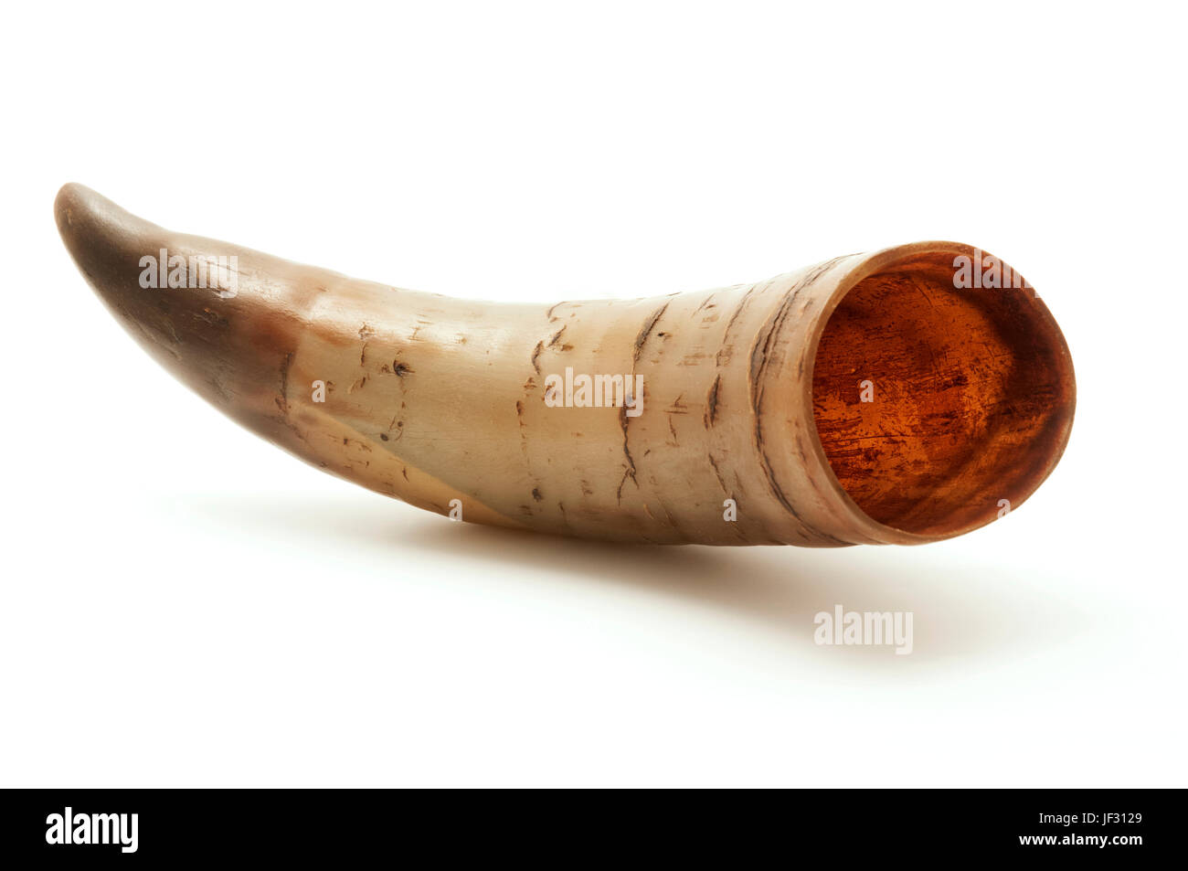 Corne de taureau Banque de photographies et d’images à haute résolution ...