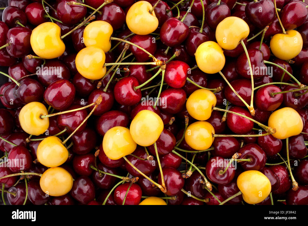 Rouge et jaune Banque de photographies et d’images à haute résolution ...