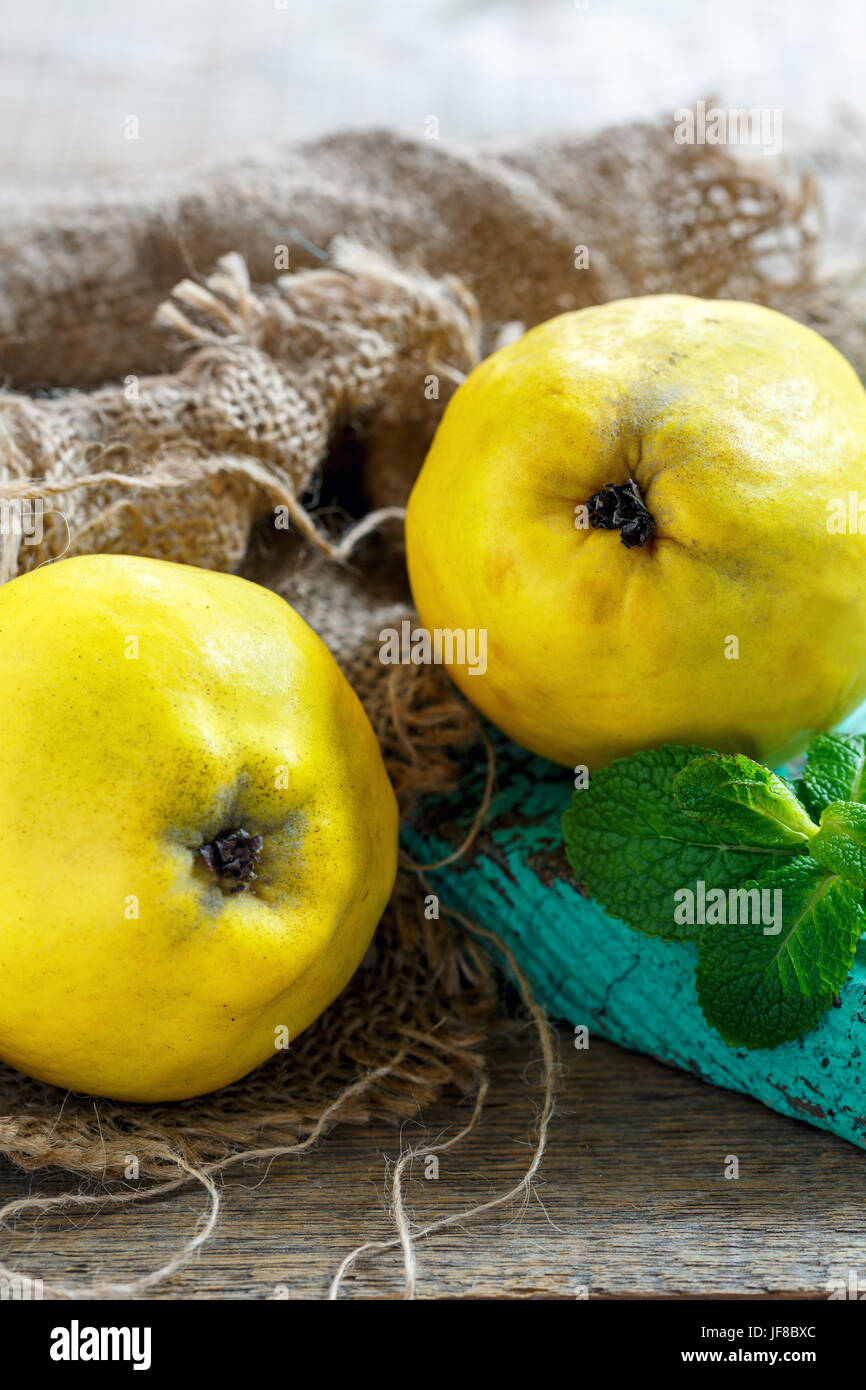 Feuilles de coing Banque de photographies et d’images à haute ...