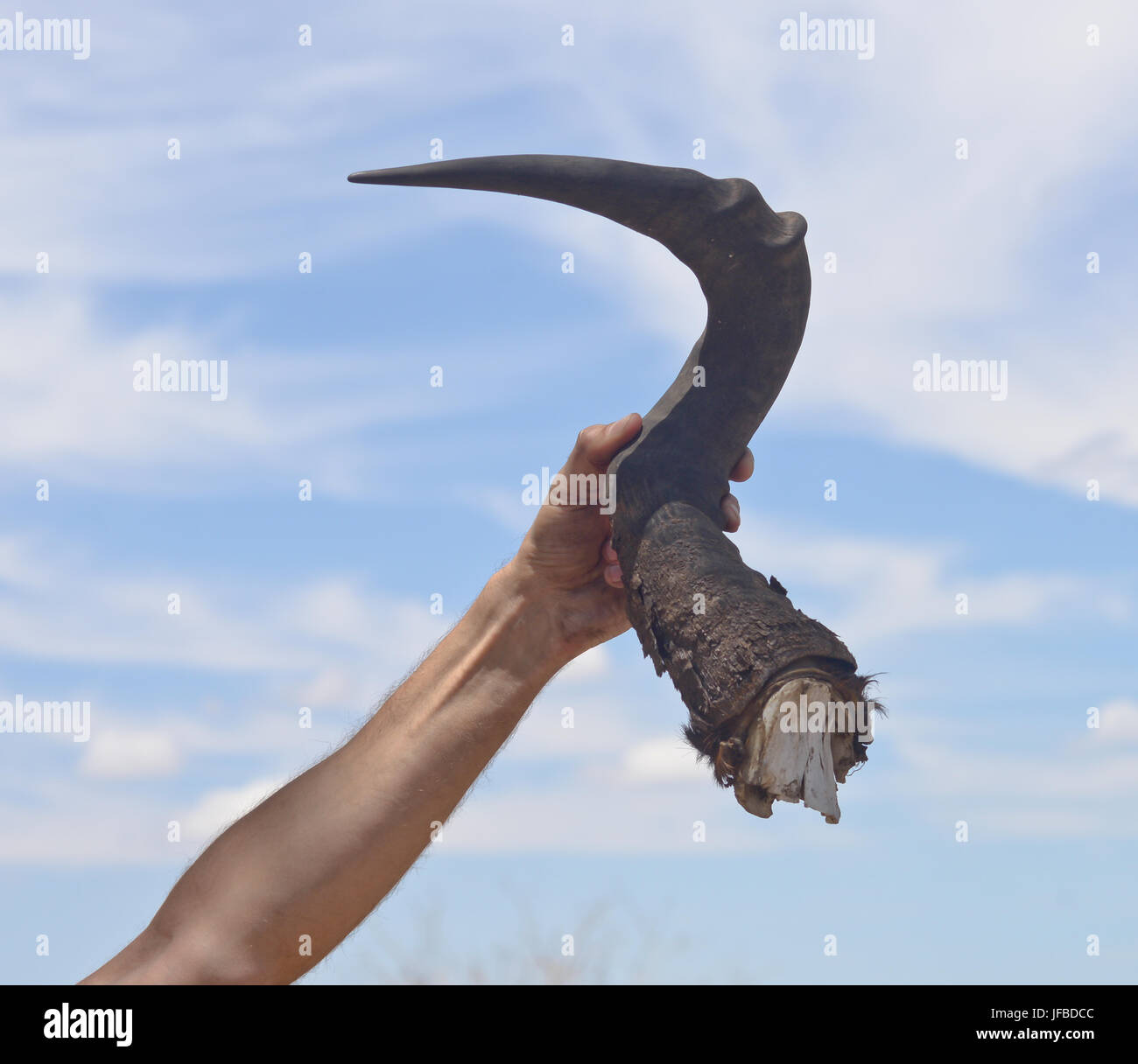 En tenant la corne Banque de photographies et d’images à haute ...