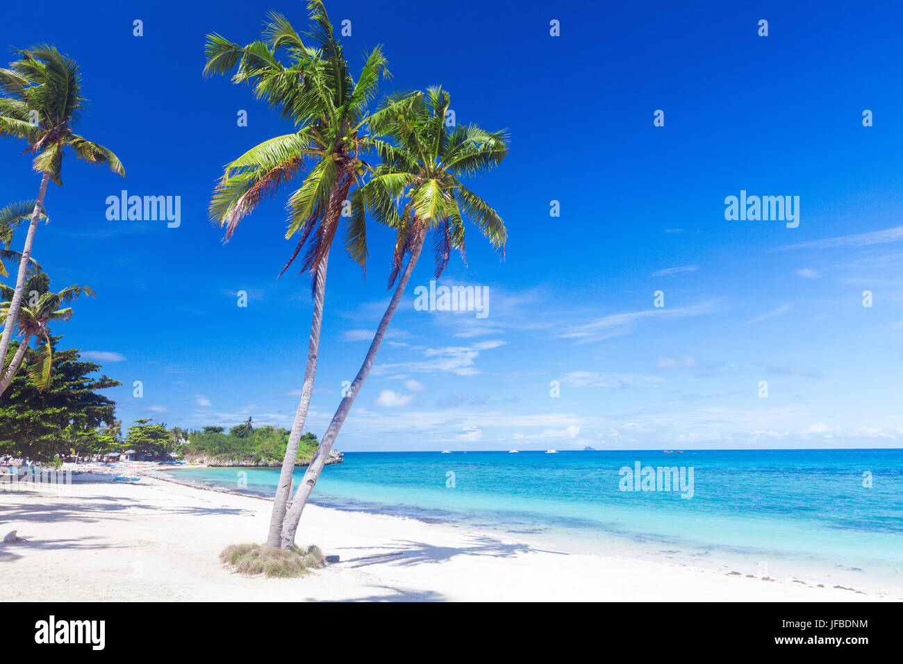 Plage tropicale avec cocotier Photo Stock - Alamy