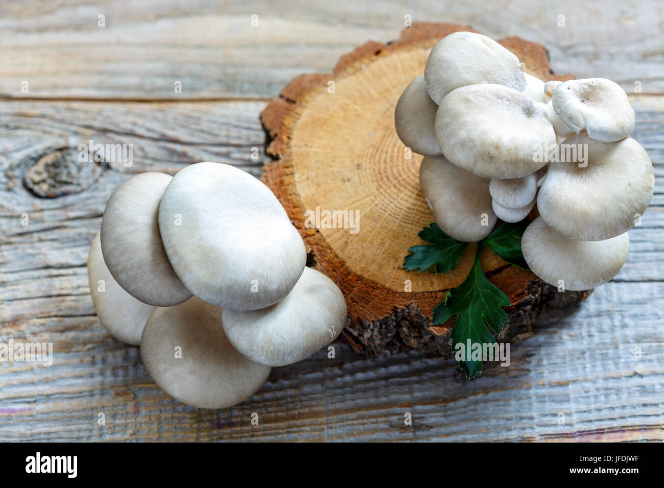 Champignons moignon Banque de photographies et d’images à haute ...