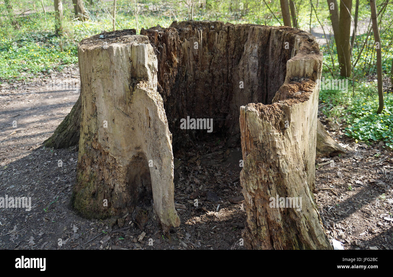 Sol creux Banque de photographies et d’images à haute résolution - Alamy