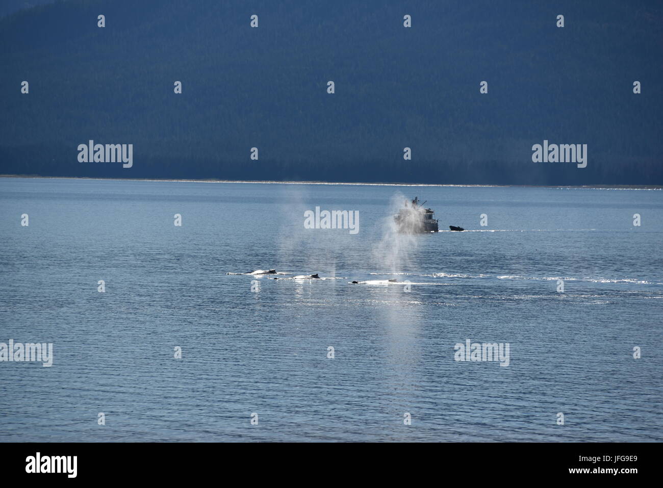 Tenakee inlet Banque de photographies et d’images à haute résolution ...