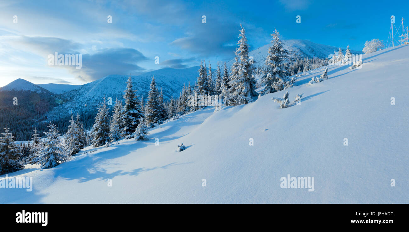 Matin montagne des Carpates (panorama d'hiver, l'Ukraine Photo Stock ...