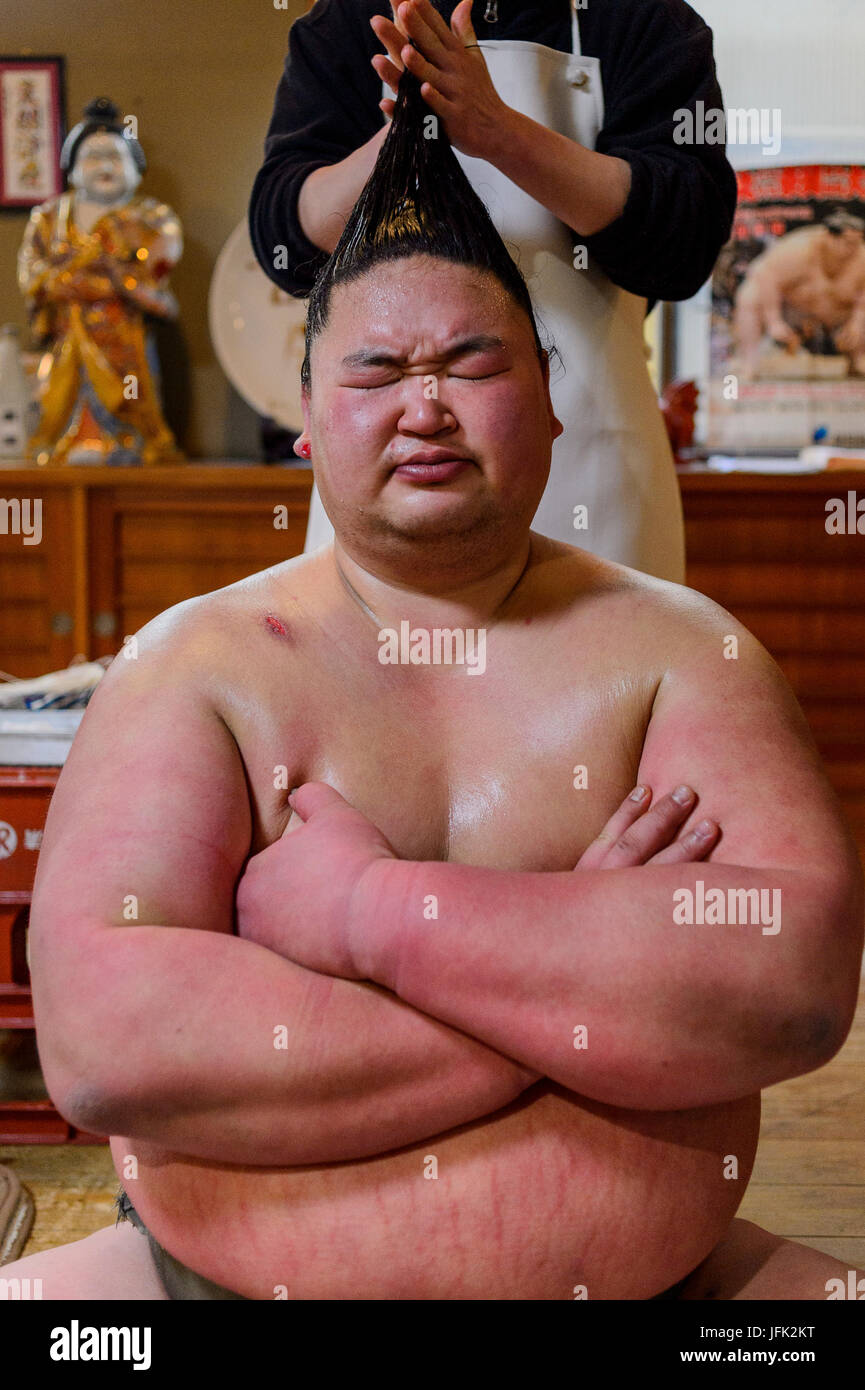 Sumo stable Banque de photographies et d’images à haute résolution - Alamy