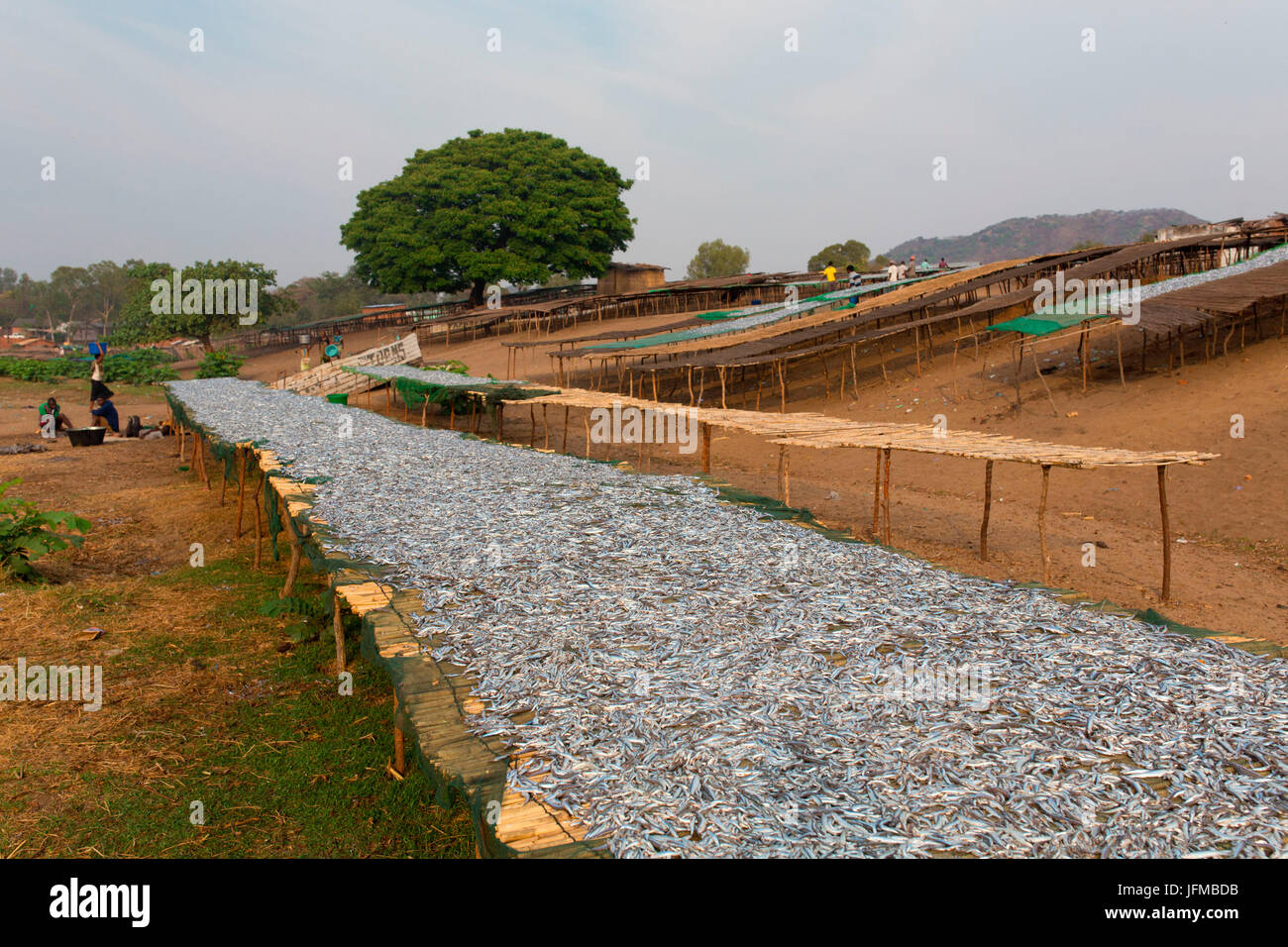 Salima district fish market at lake malawi Banque de photographies et d ...