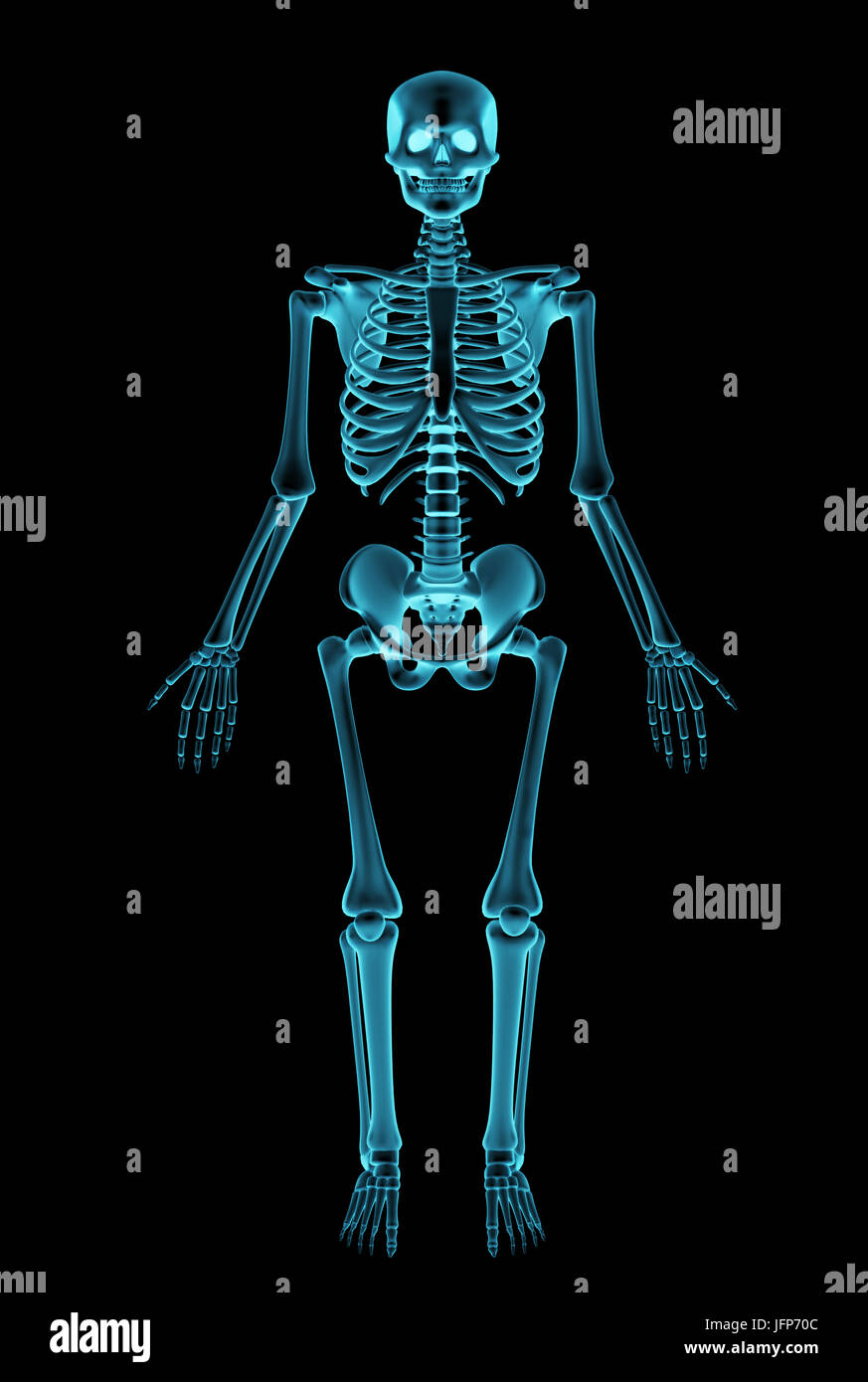 Illustration 3D d'une radiographie du squelette humain Photo Stock - Alamy