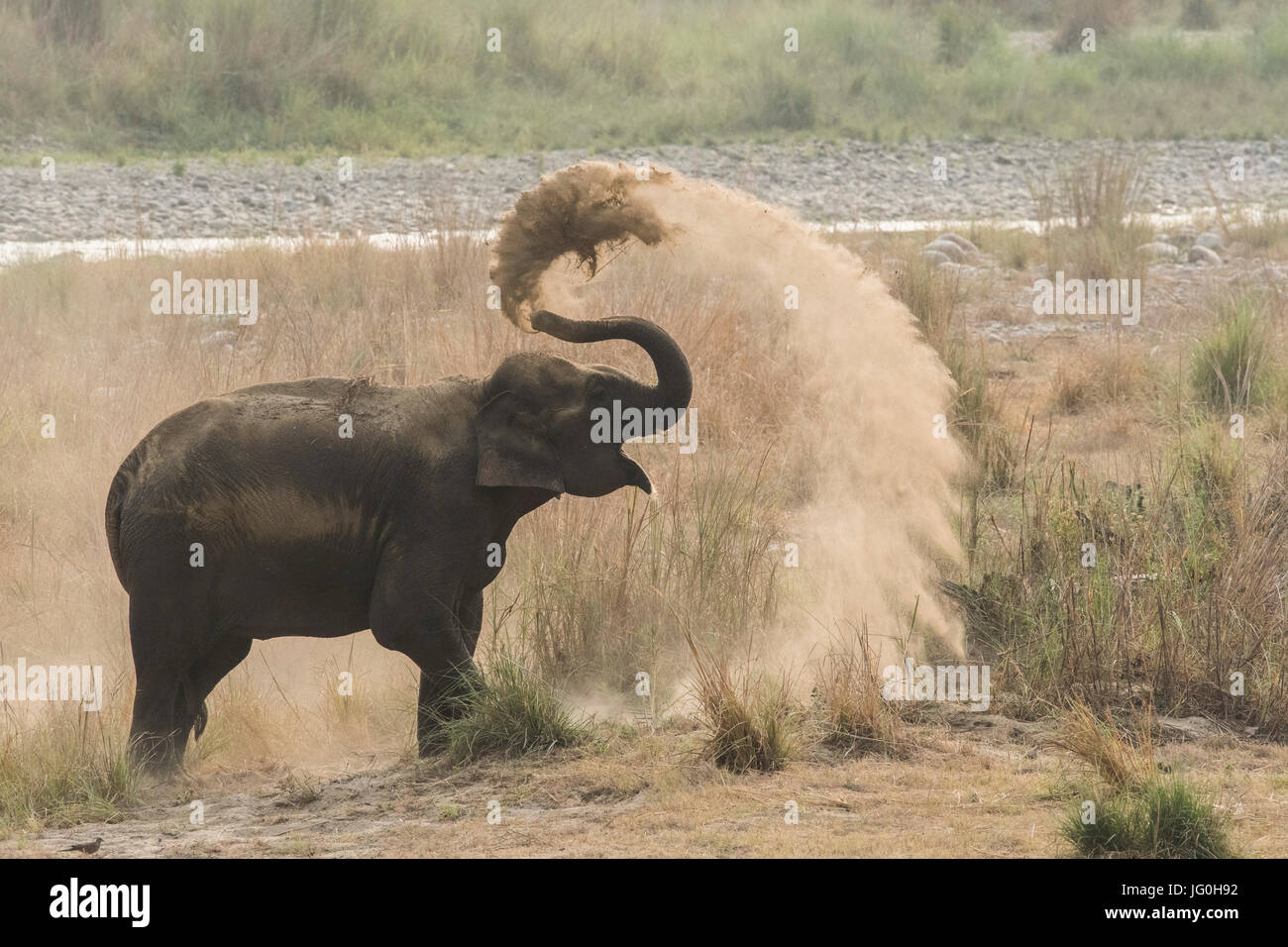 Complexe du capitole de chandigarh Banque de photographies et d’images ...