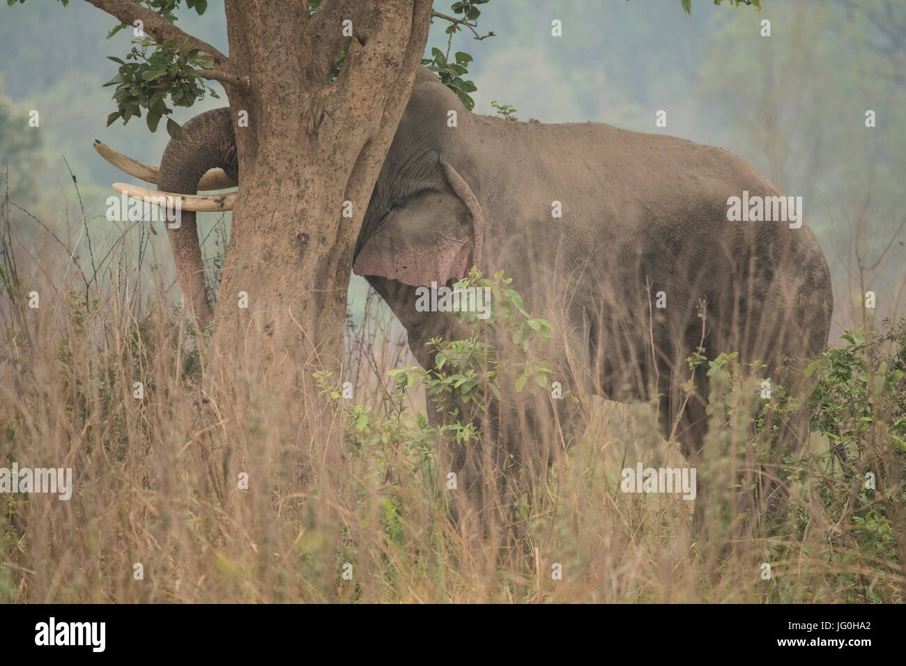 Complexe du capitole de chandigarh Banque de photographies et d’images ...