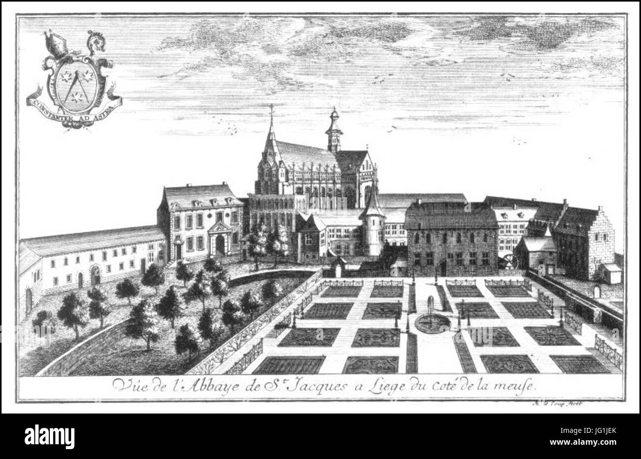 Remacle le loup Banque de photographies et d’images à haute résolution ...