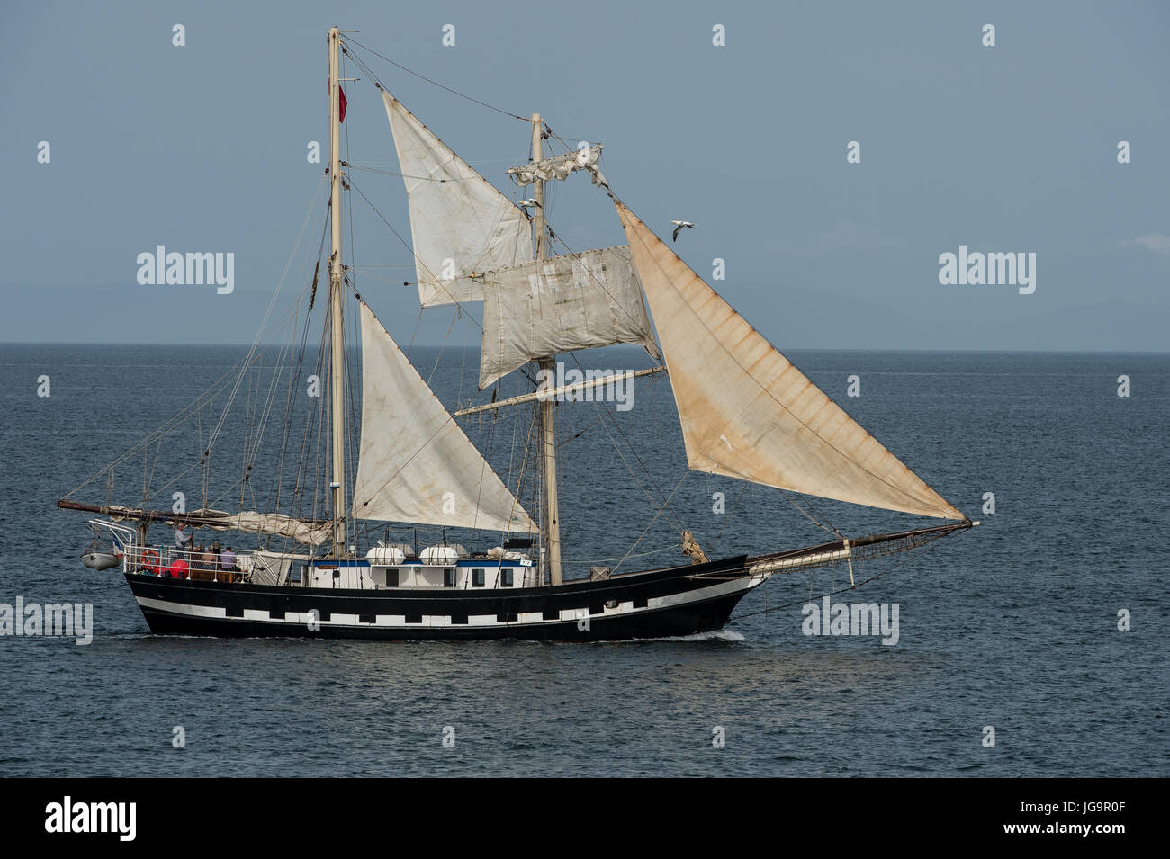 La malouine tall ship Banque de photographies et d’images à haute ...