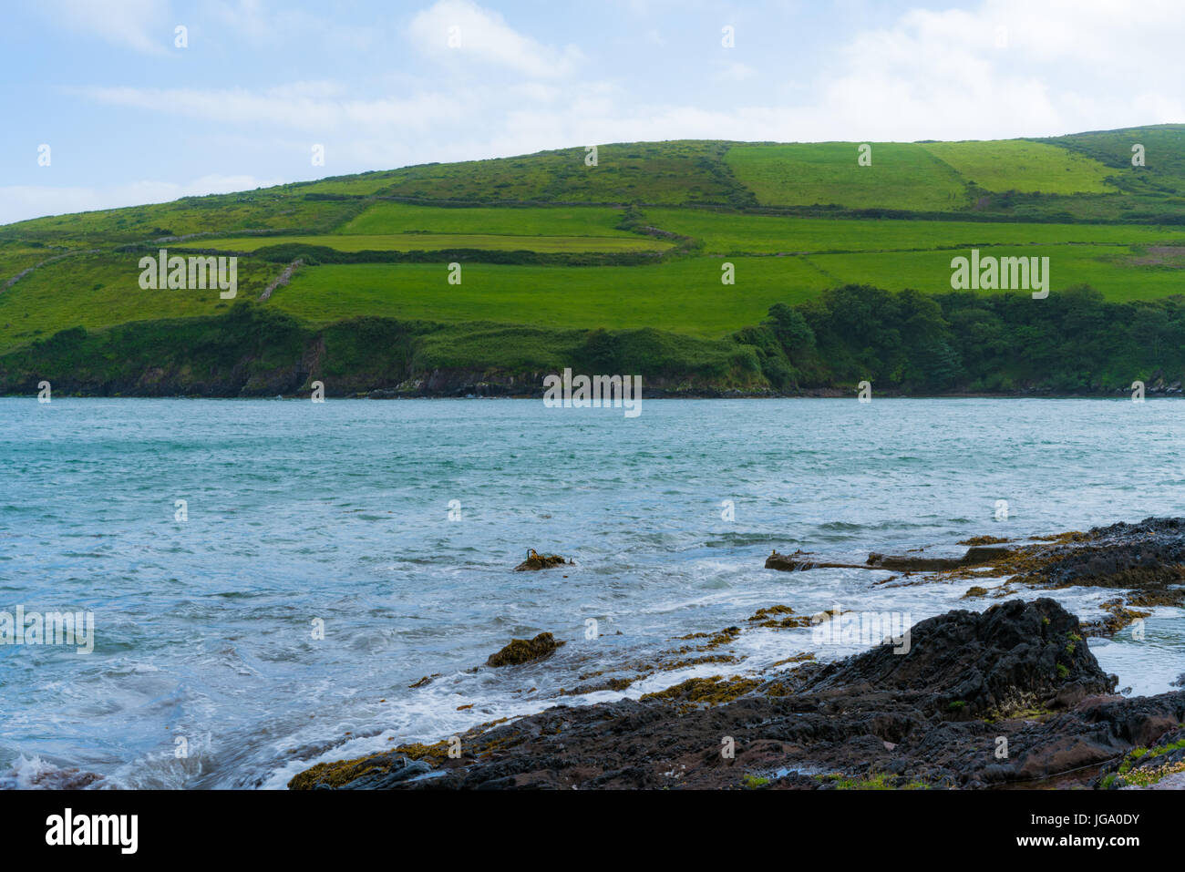 Dingle port Banque de photographies et d’images à haute résolution - Alamy