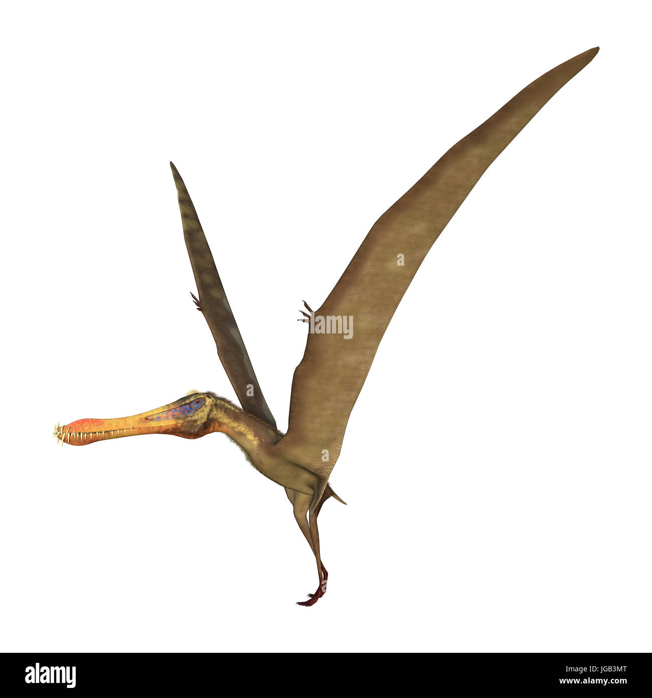 Dinosaur pterodactyl pteranodon flying Banque de photographies et d’images à haute résolution ...