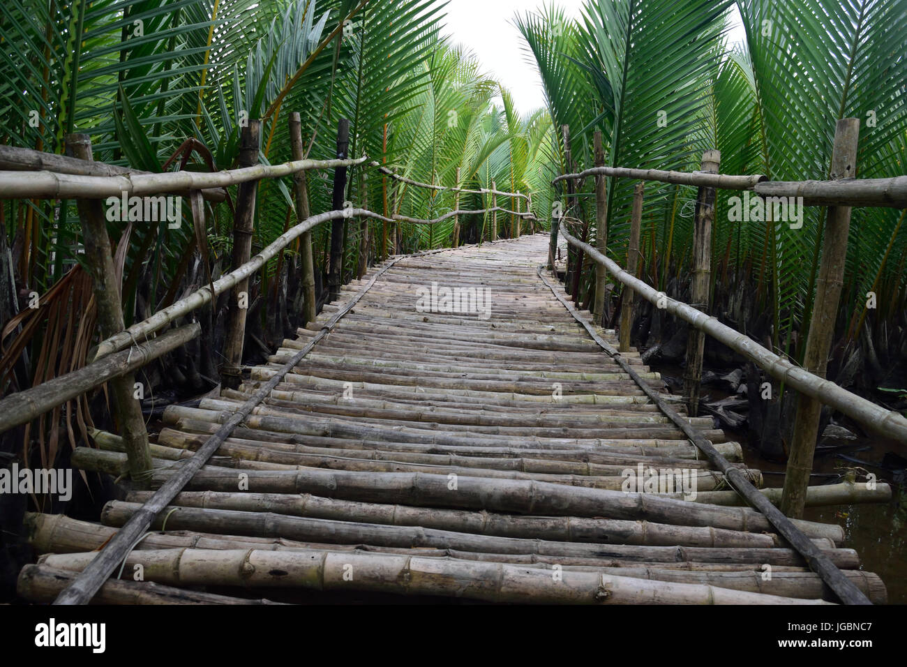 Pont suspendu en bambou Banque de photographies et d’images à haute ...