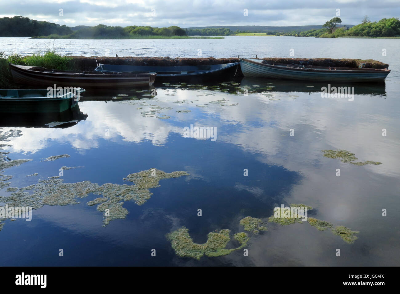 Inchiquin lake Banque de photographies et d’images à haute résolution ...