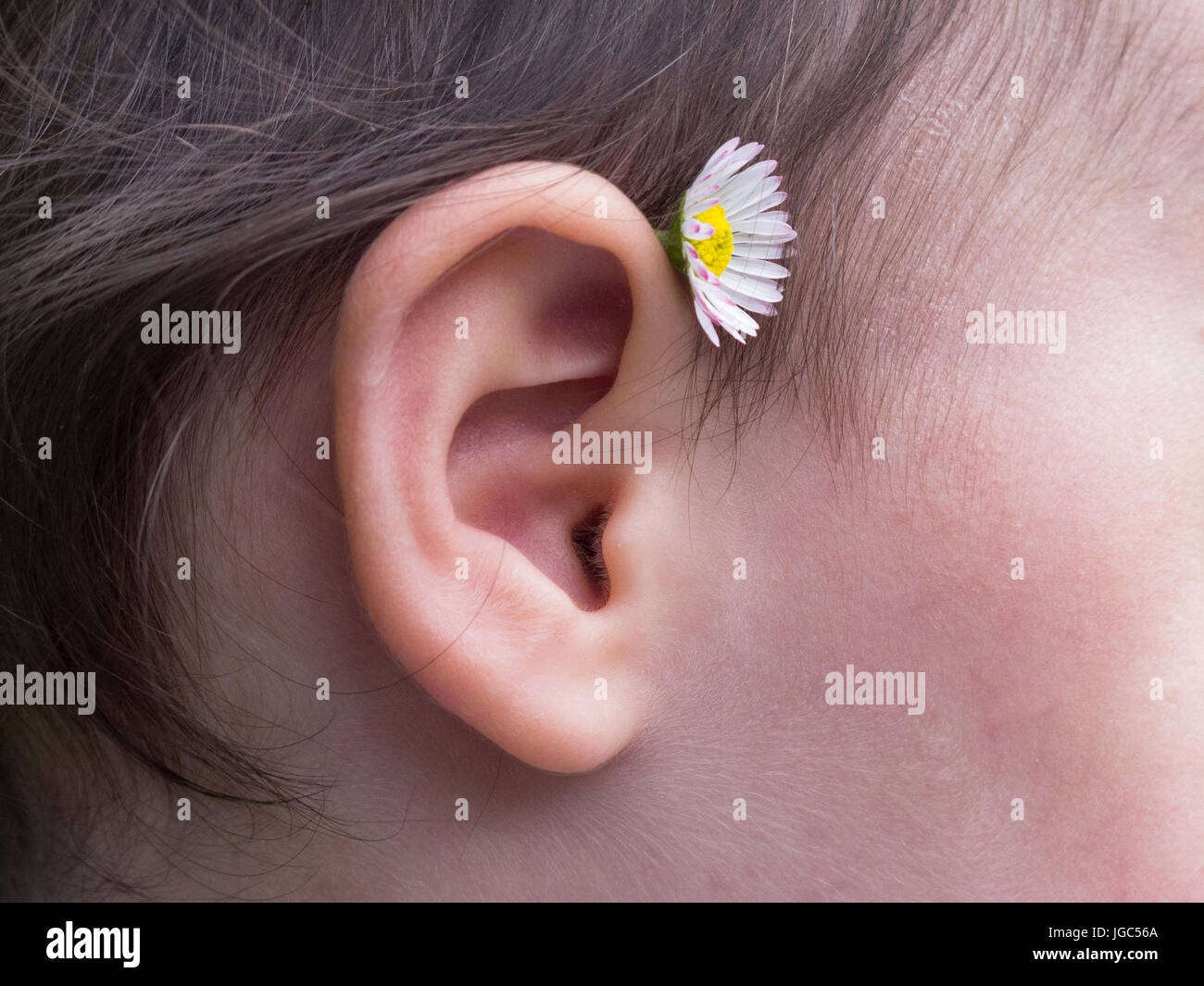 Une jeune fille avec une rose derrière son oreille Photo Stock - Alamy Une jeune fille avec une rose derrière son oreille Photo Stock - Alamy
