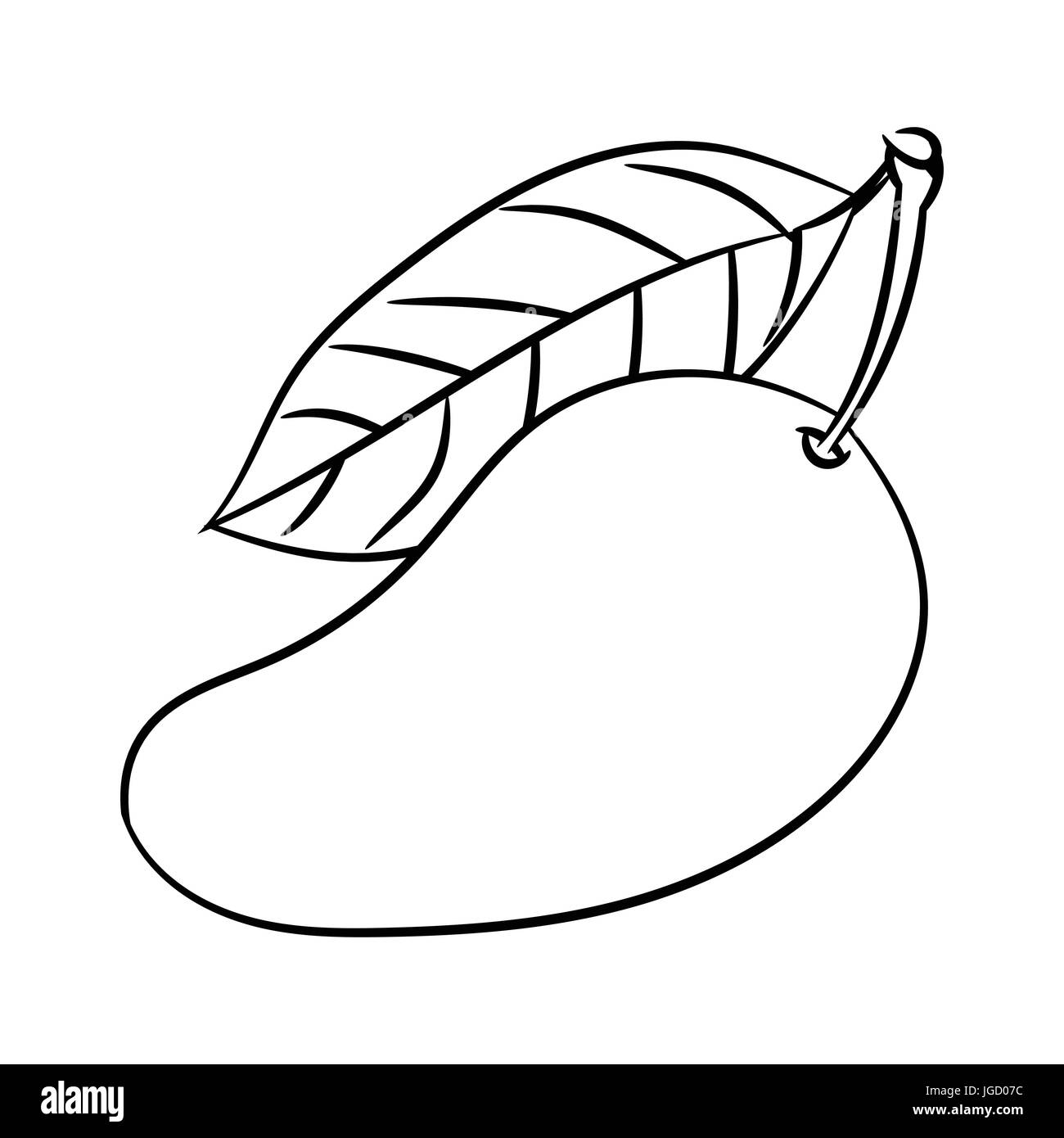 Croquis dessinés à la main, de la mangue, noir et blanc isolé Cartoon ...