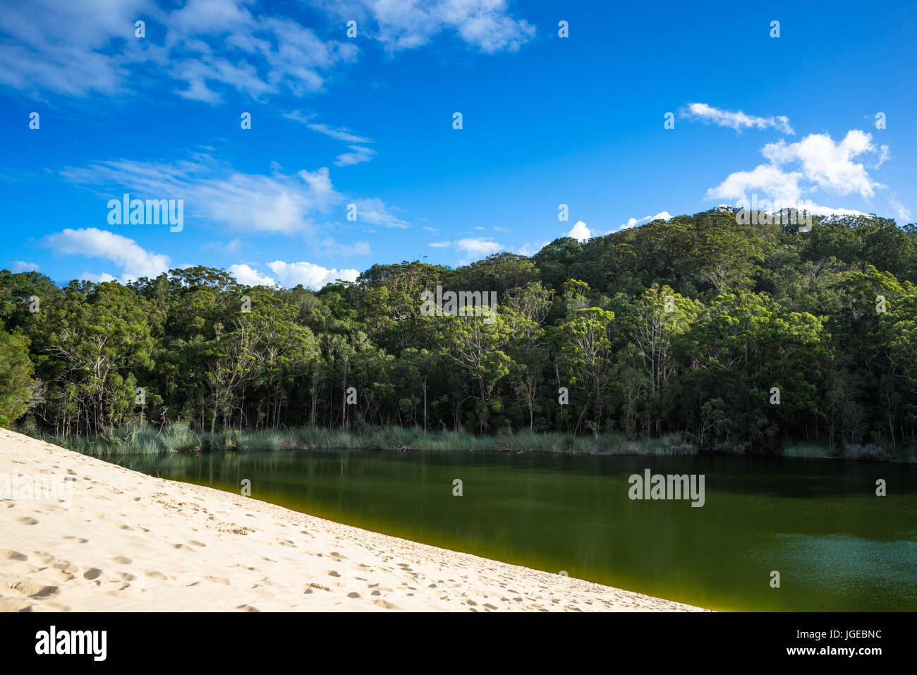 Fraser Island Queensland Lake Wabby Banque d'image et photos - Alamy