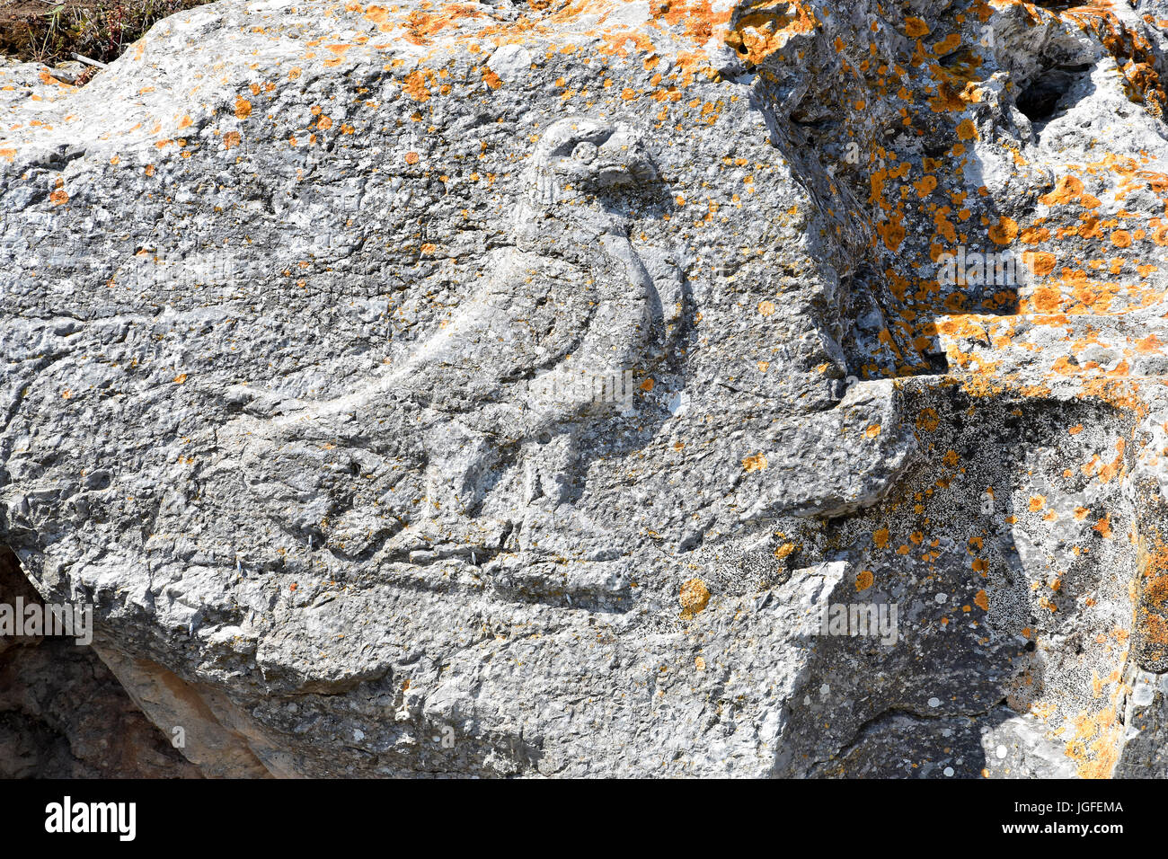 La sculpture de l'aigle, symbole de Zeus sur les ruines de l'ancienne ...