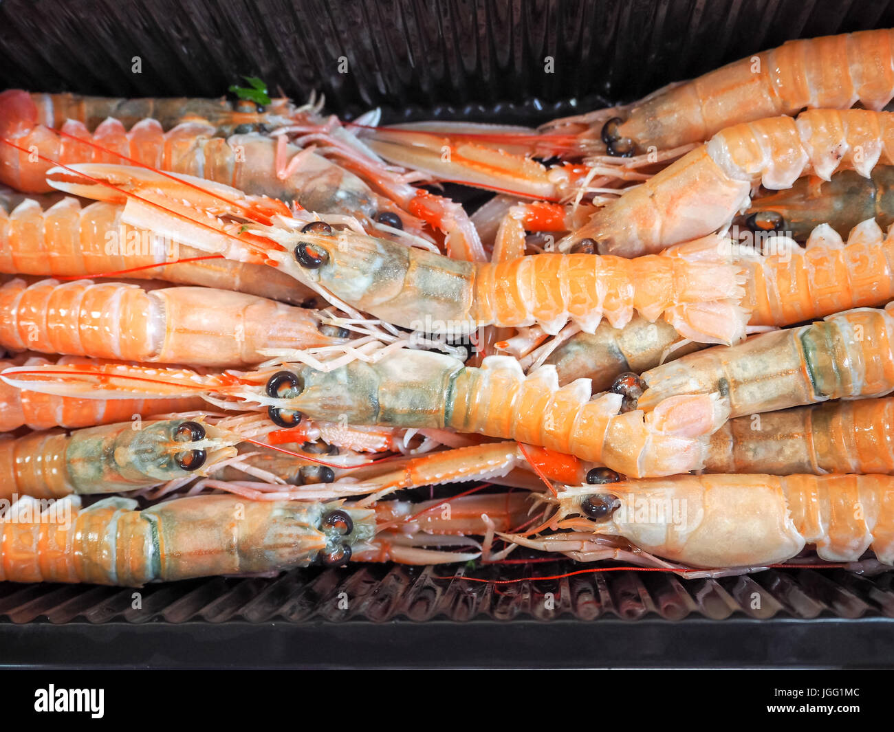 Crevettes fraîches / crevettes royales, animaux de mer Photo Stock - Alamy