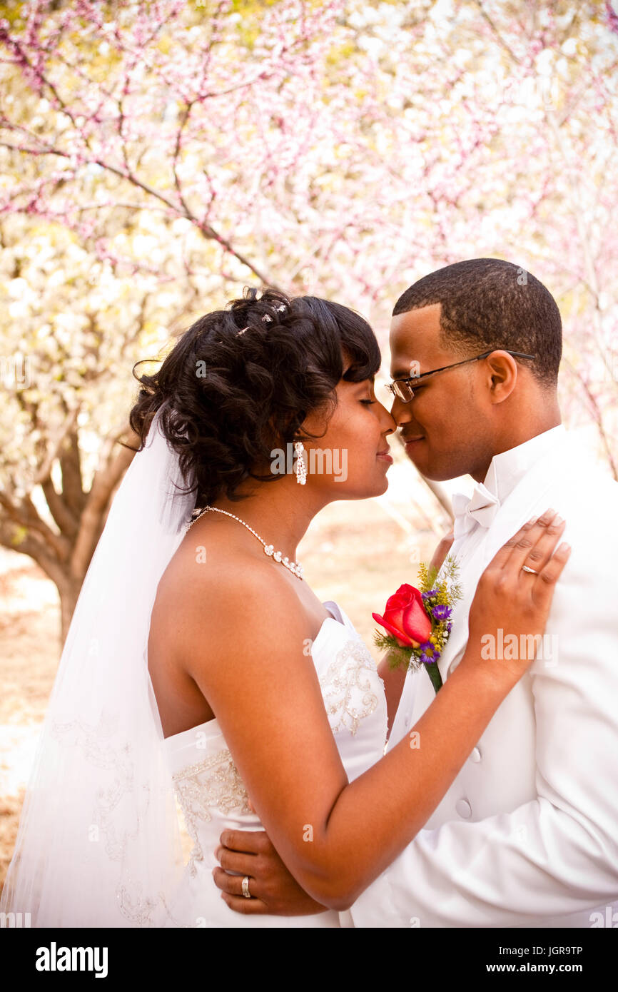 Mariée et le marié à célébrer leur mariage Photo Stock - Alamy